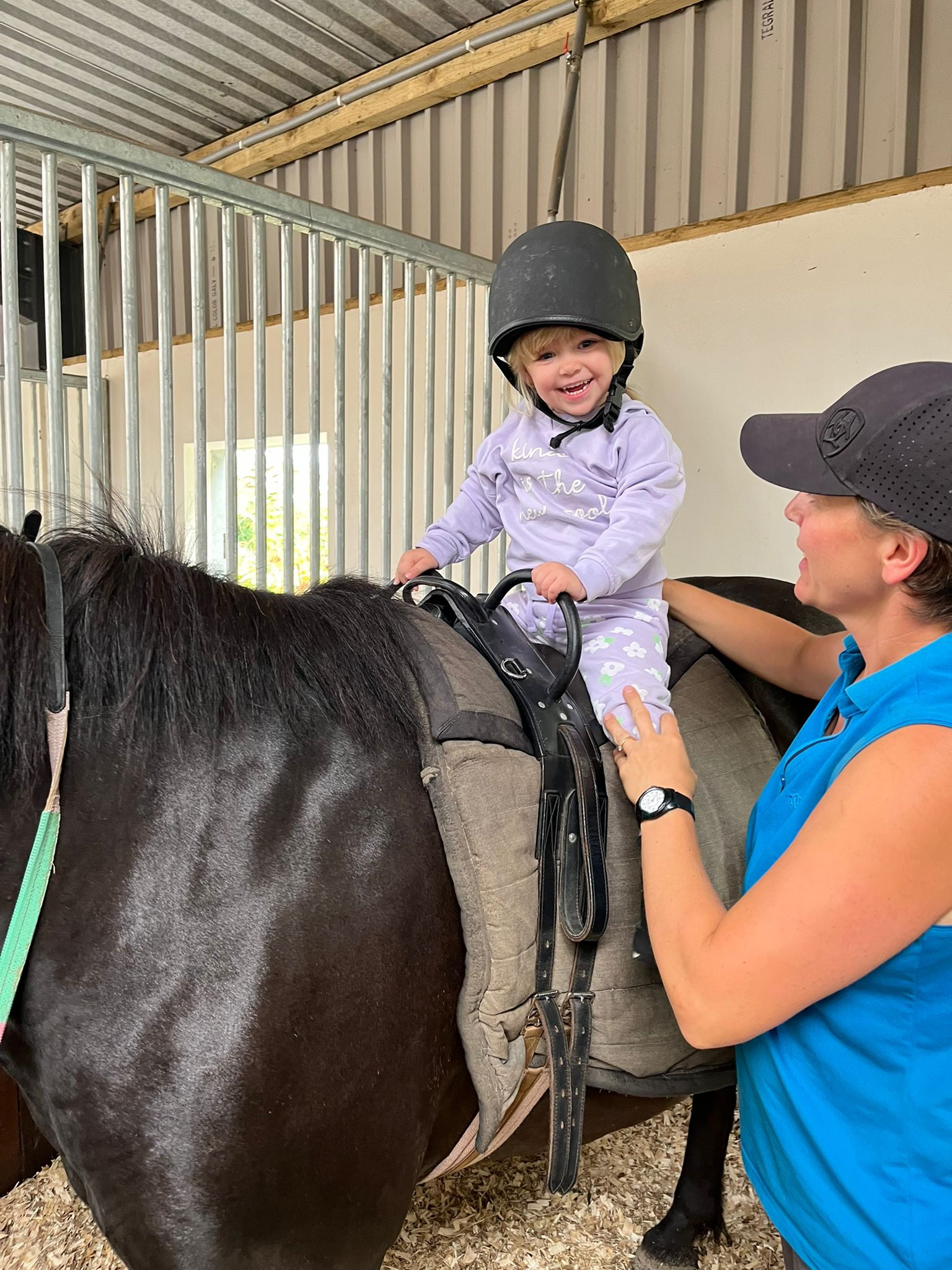Home - Equisteps - Riding School in Wicklow